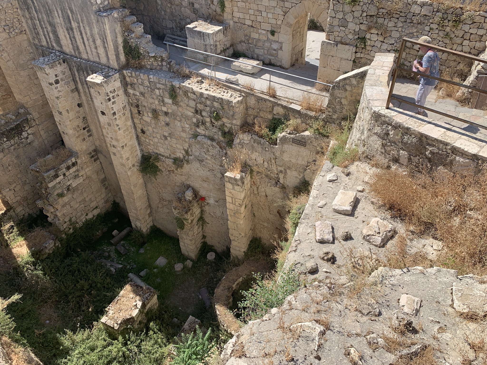 Healing the One - A Great Untethering